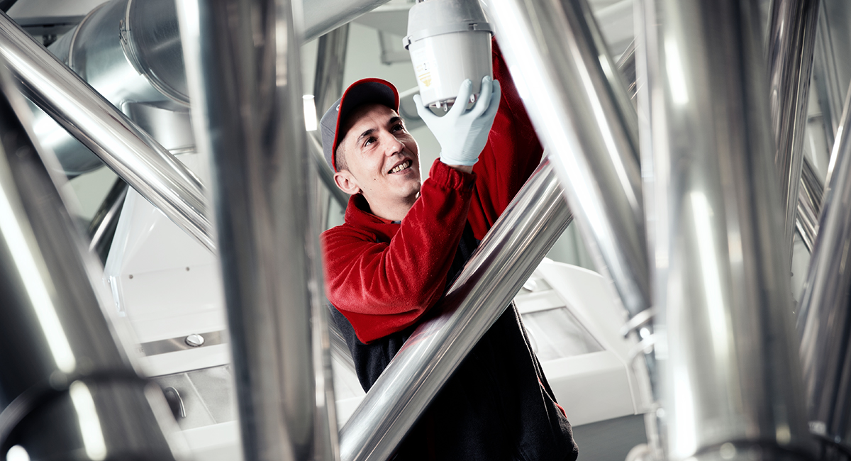 Pest control, hygiene services, indoor plants and scenting | Rentokil ...